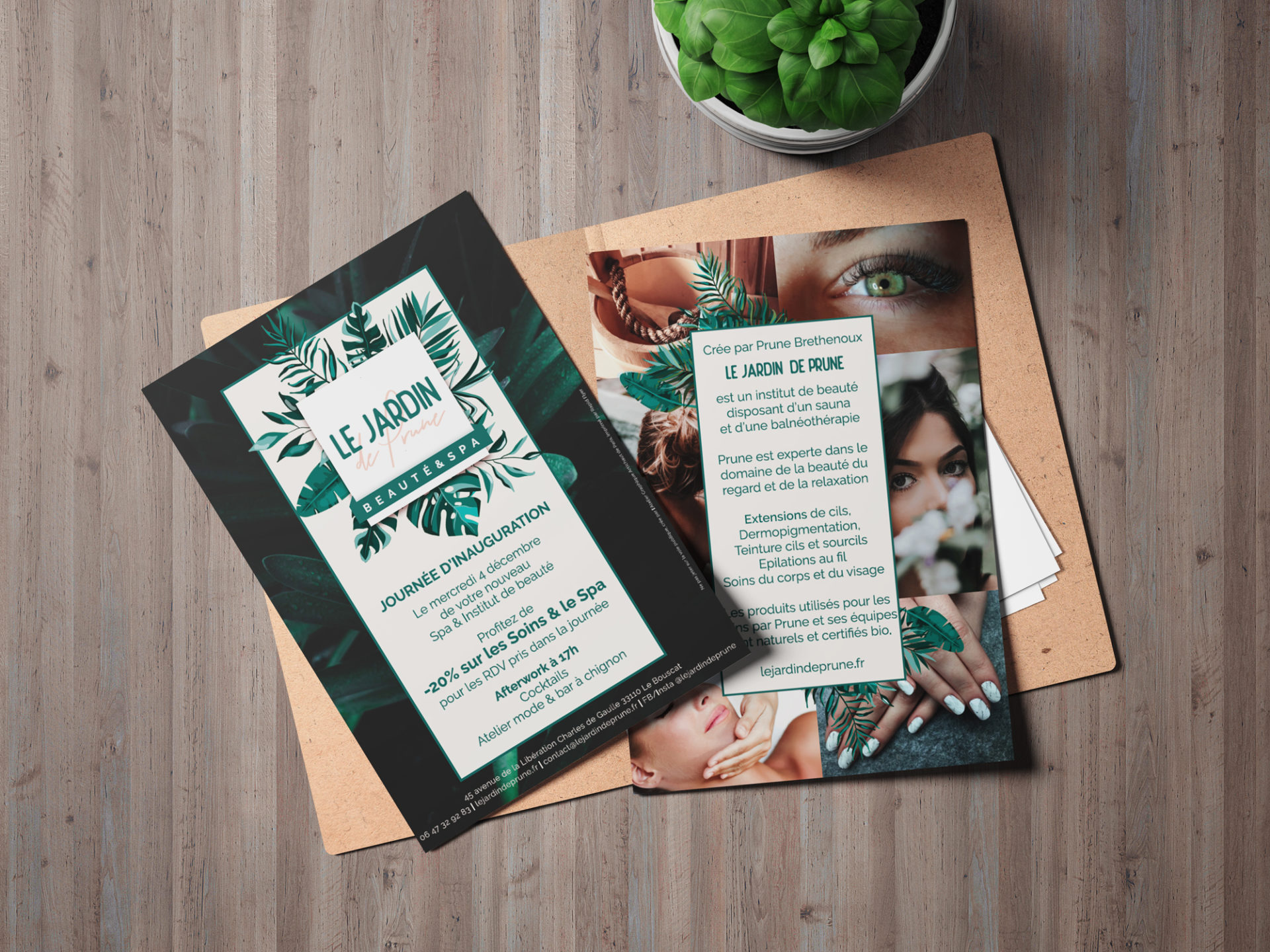 Le Jardin de Prune - Artichaut de Paris